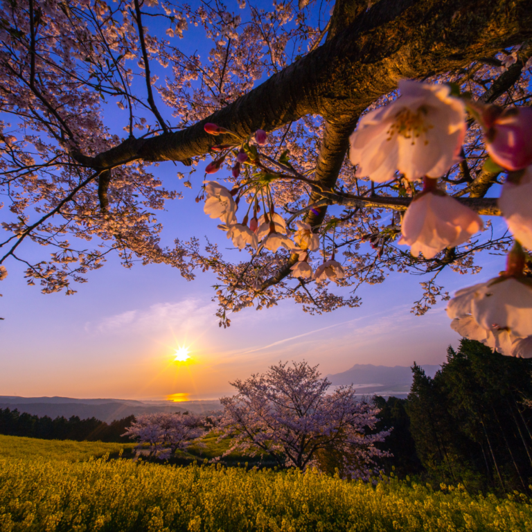 Seasons of the Soul: Spring | Karen Coulters